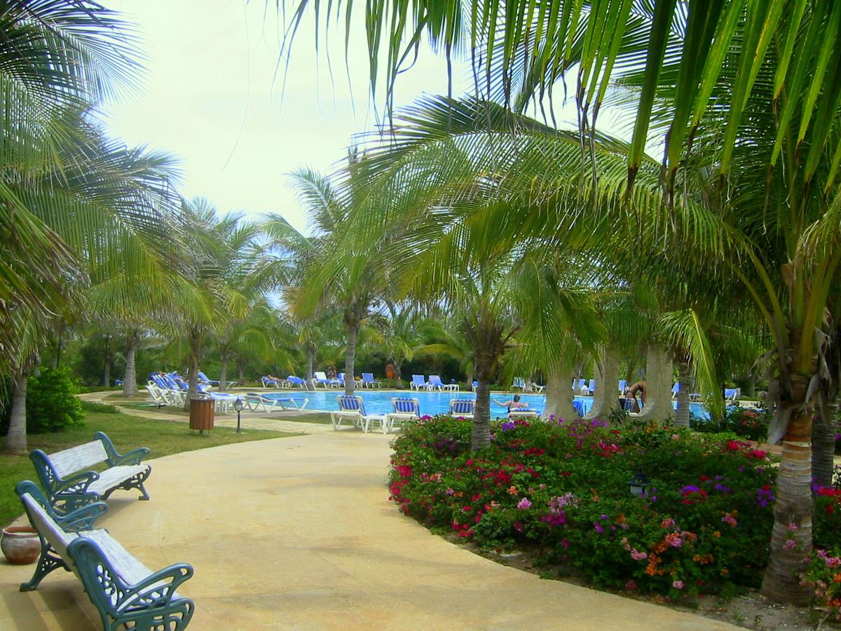 karibik_cuba_cayo_santa_maria_sol_club_03 | Nautilus Tauchreisen