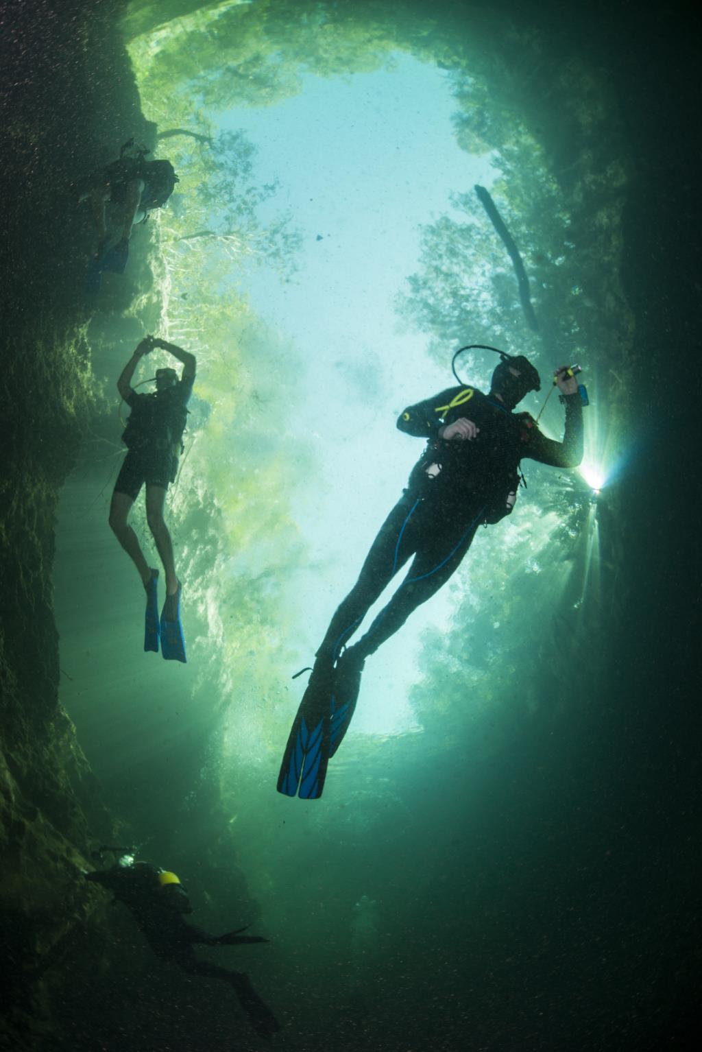 Karibik Cuba Kuba Tauchen Schweinebucht Playa Larga Giron Cenotes