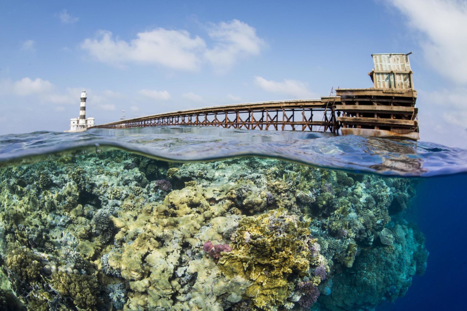 Rotes Meer – Top Tauchplätze | Nautilus Tauchreisen