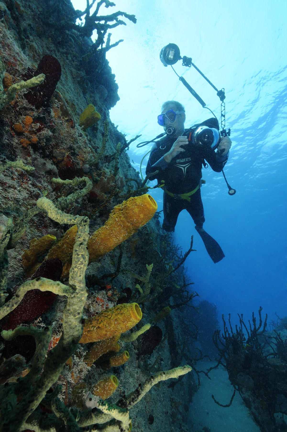 Karibik Kuba Tauchen33 Nautilus Tauchreisen