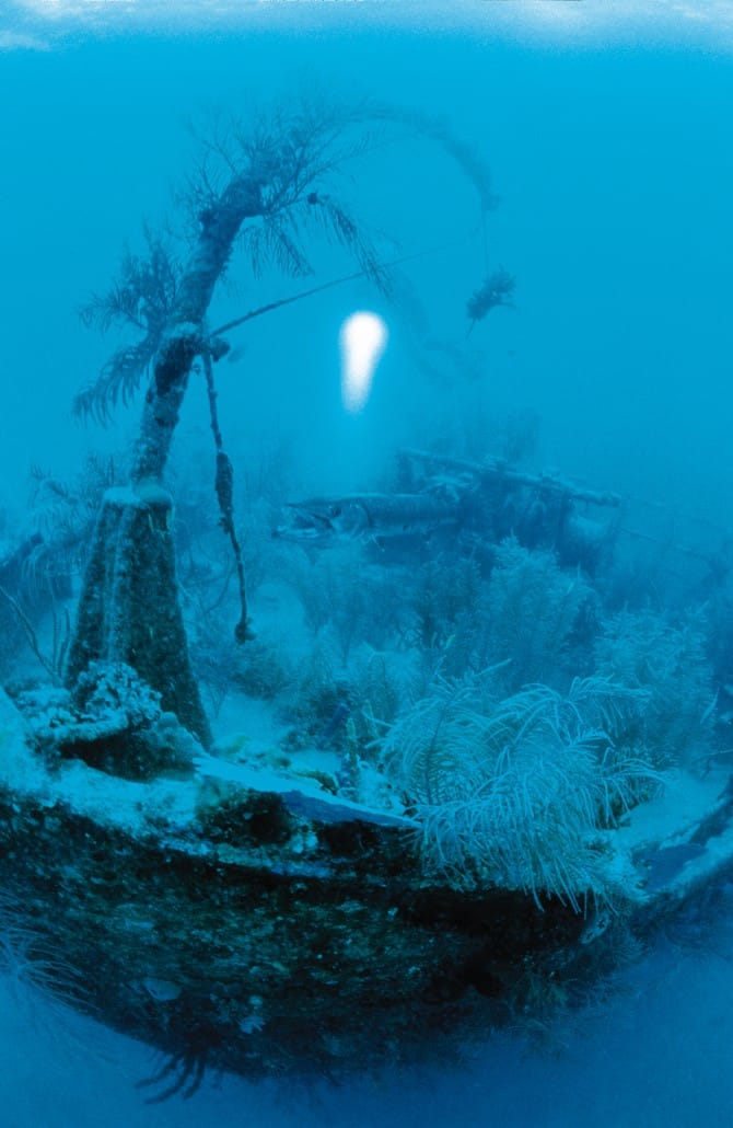 Karibik Kuba Tauchen Unterwasser Faro Luna36 Nautilus Tauchreisen