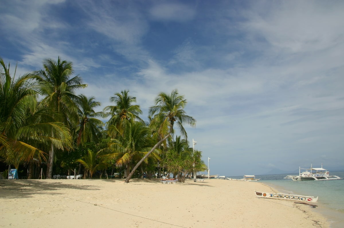 philippinen_cebu_malapascua_exotic_dive | Nautilus Tauchreisen